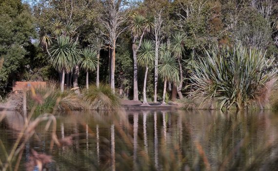 Travis Wetland – Travis Wetland Nature Heritage Park