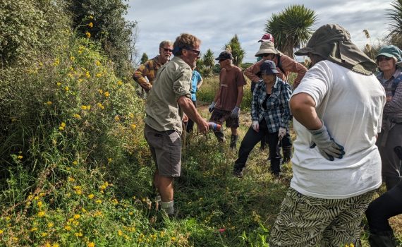 Travis Wetland – Travis Wetland Nature Heritage Park