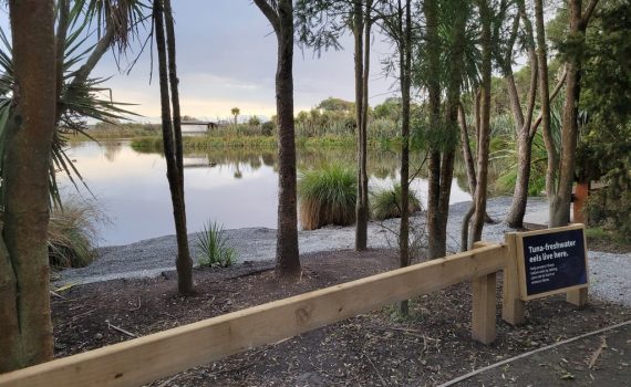 Travis Wetland – Travis Wetland Nature Heritage Park