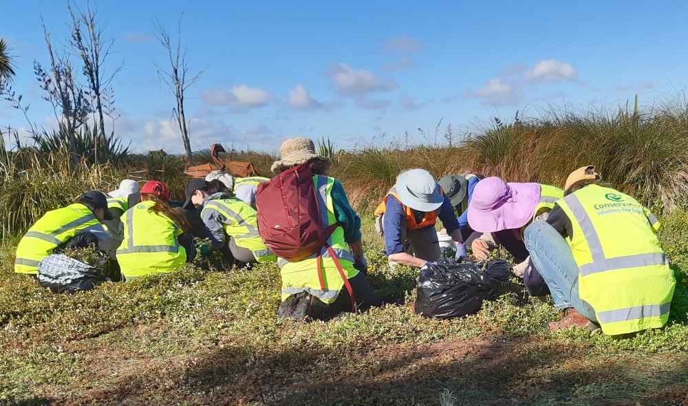 Travis Wetland Monthly Newsletter March 2025 October Travis Wetland ...